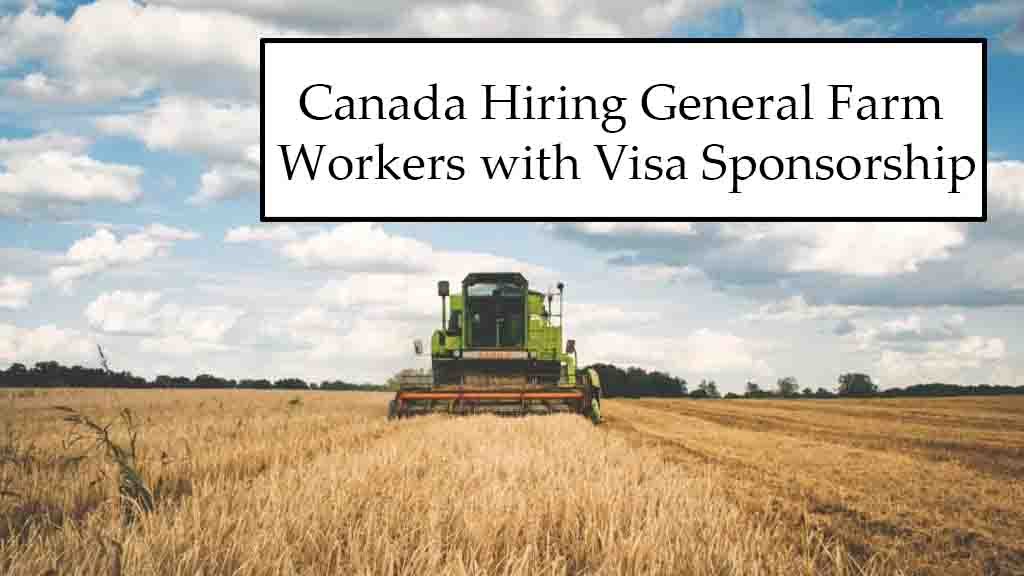Canada Hiring General Farm Workers with Visa Sponsorship – No ...